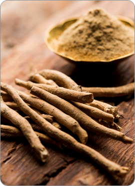 Ultrabolan – El Mejor Producto para Construir la masa muscular